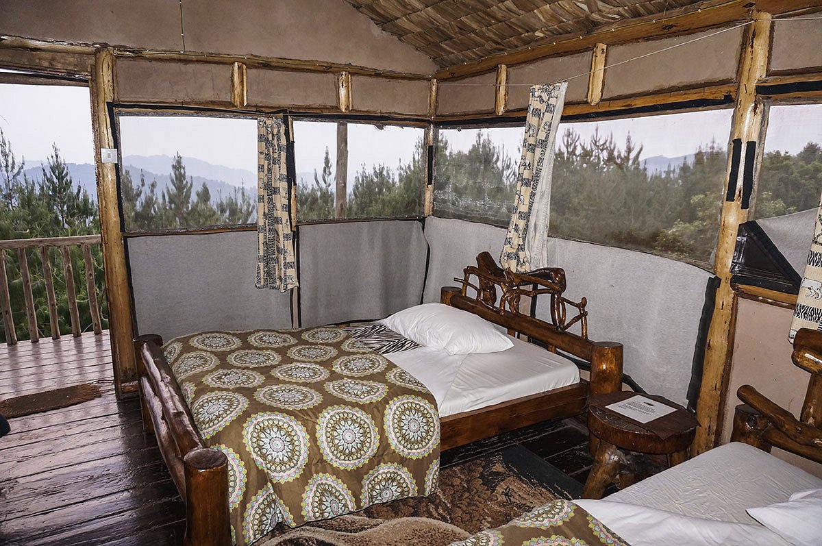 Gorilla Mist Camp | Bwindi’s Scenic Gorilla Lodge