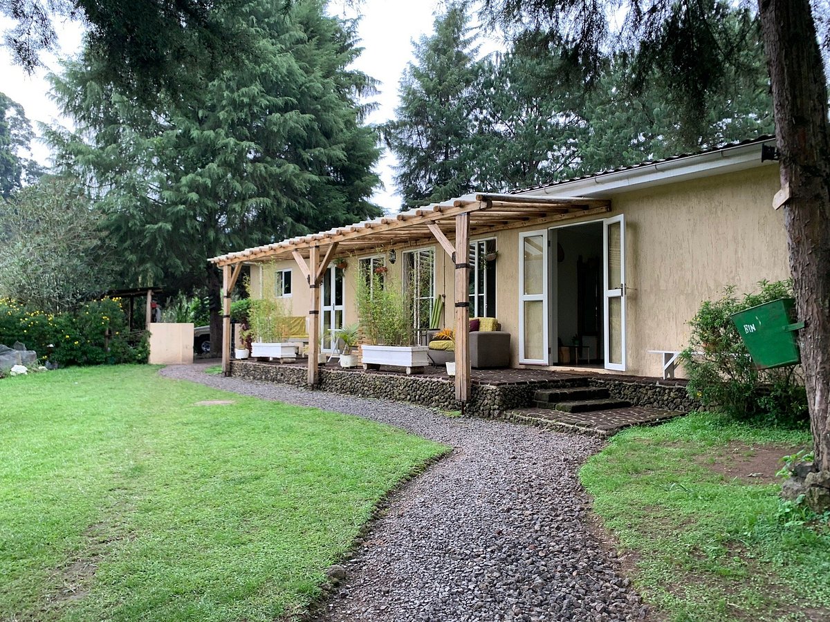 Mucha Riverside Lodge | Stay Near Bwindi, Uganda