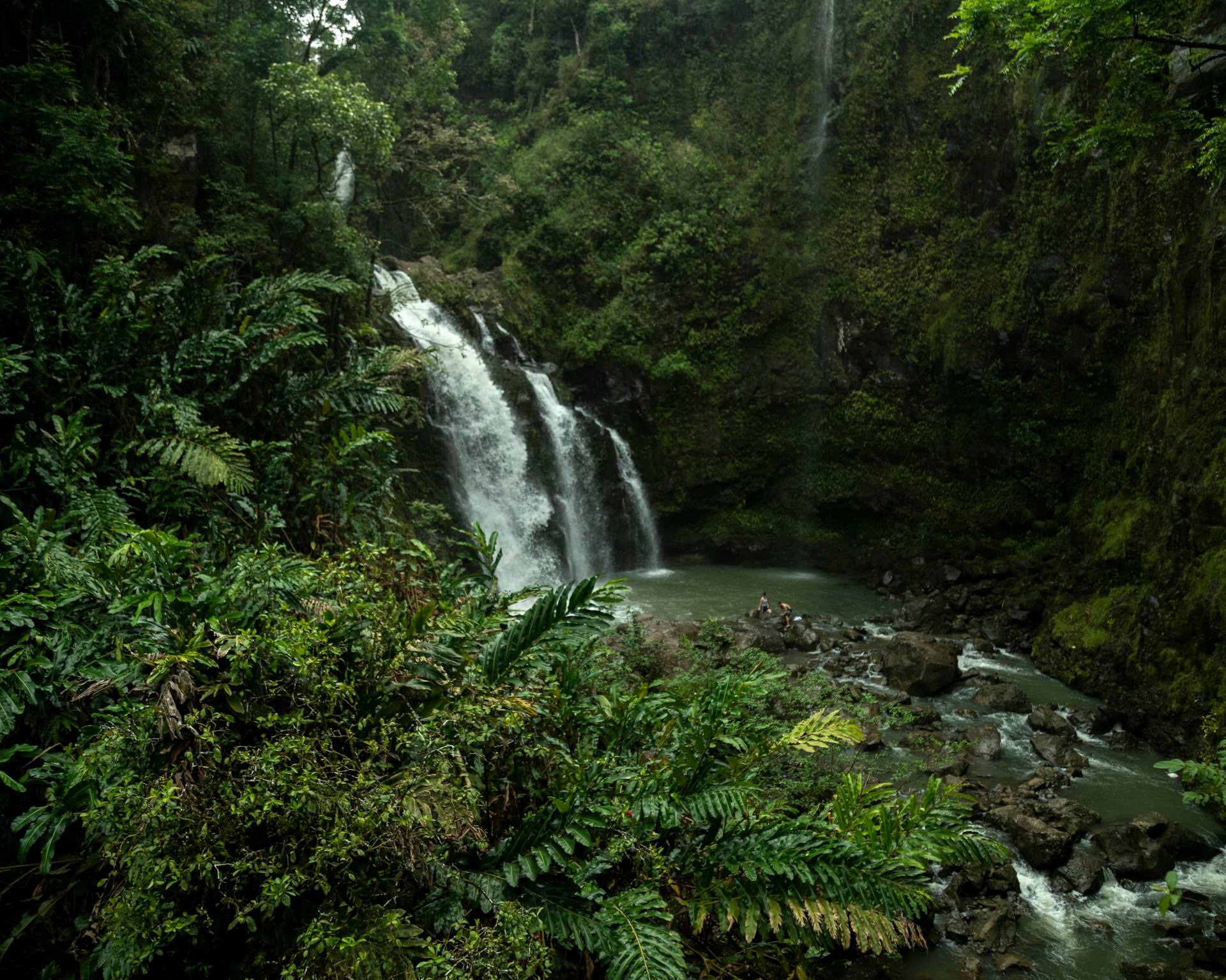 Rivers in Bwindi | Key Waterways & Wildlife Habitats
